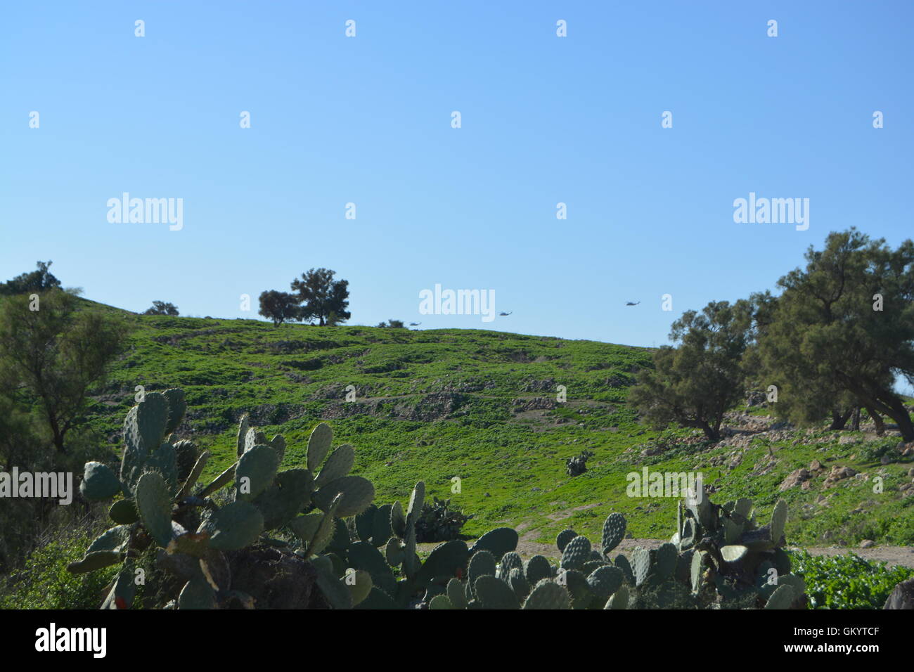 Tel Hazor, Israel Stock Photo - Alamy