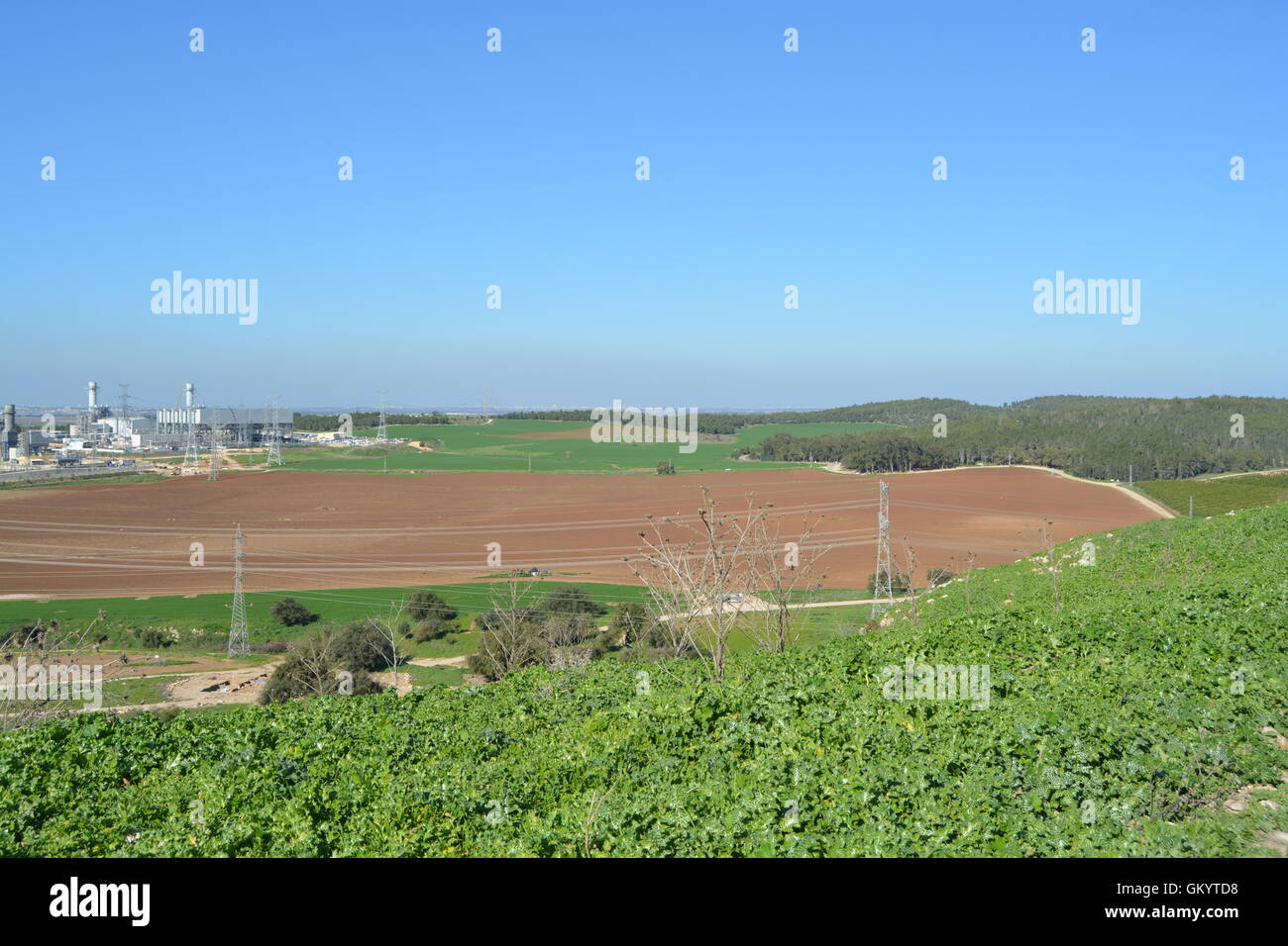 Tel Hazor, Israel Stock Photo - Alamy