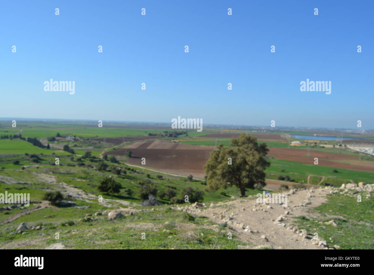 Tel Hazor, Israel Stock Photo - Alamy