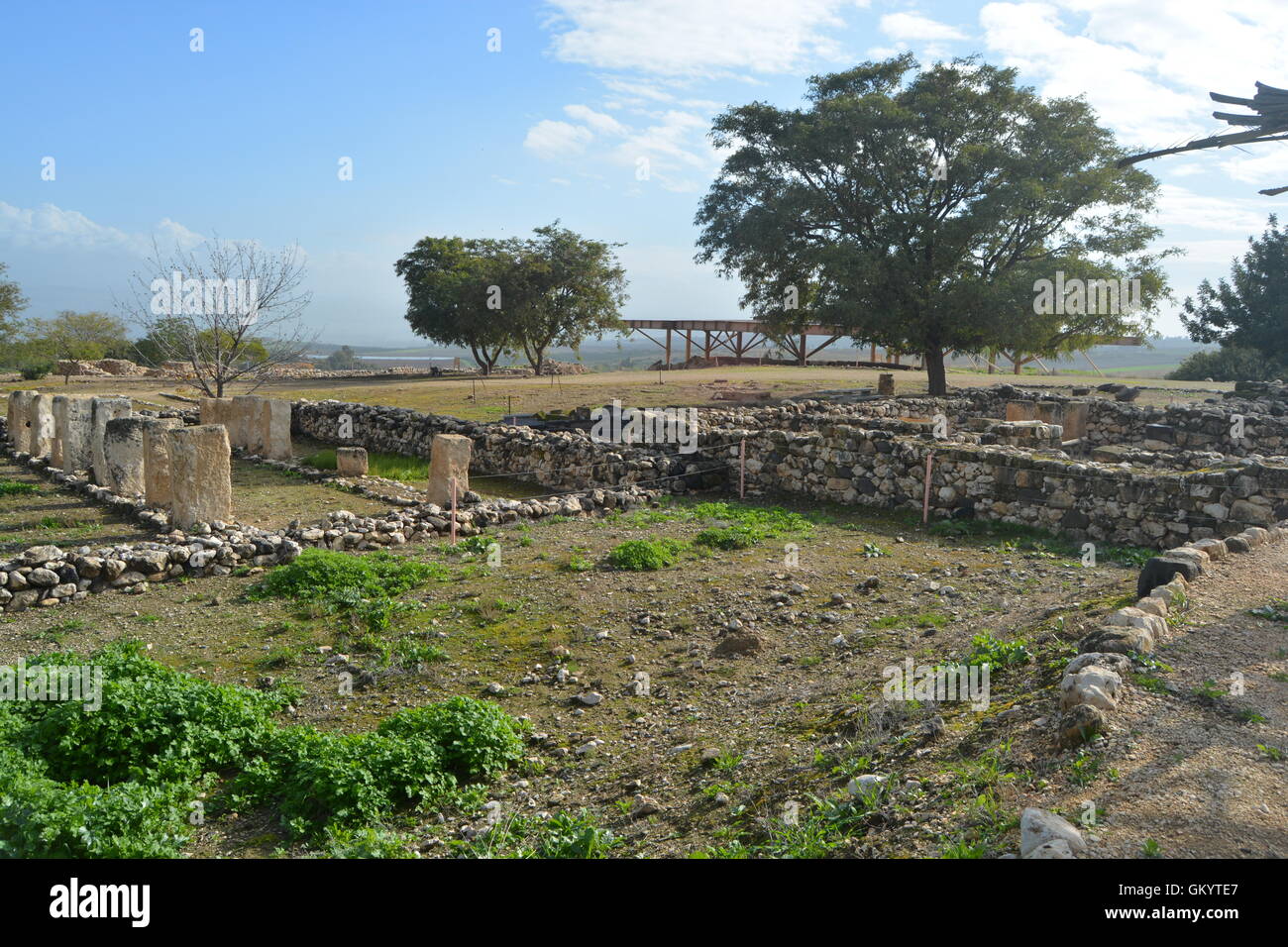 Tel Hazor, Israel Stock Photo - Alamy