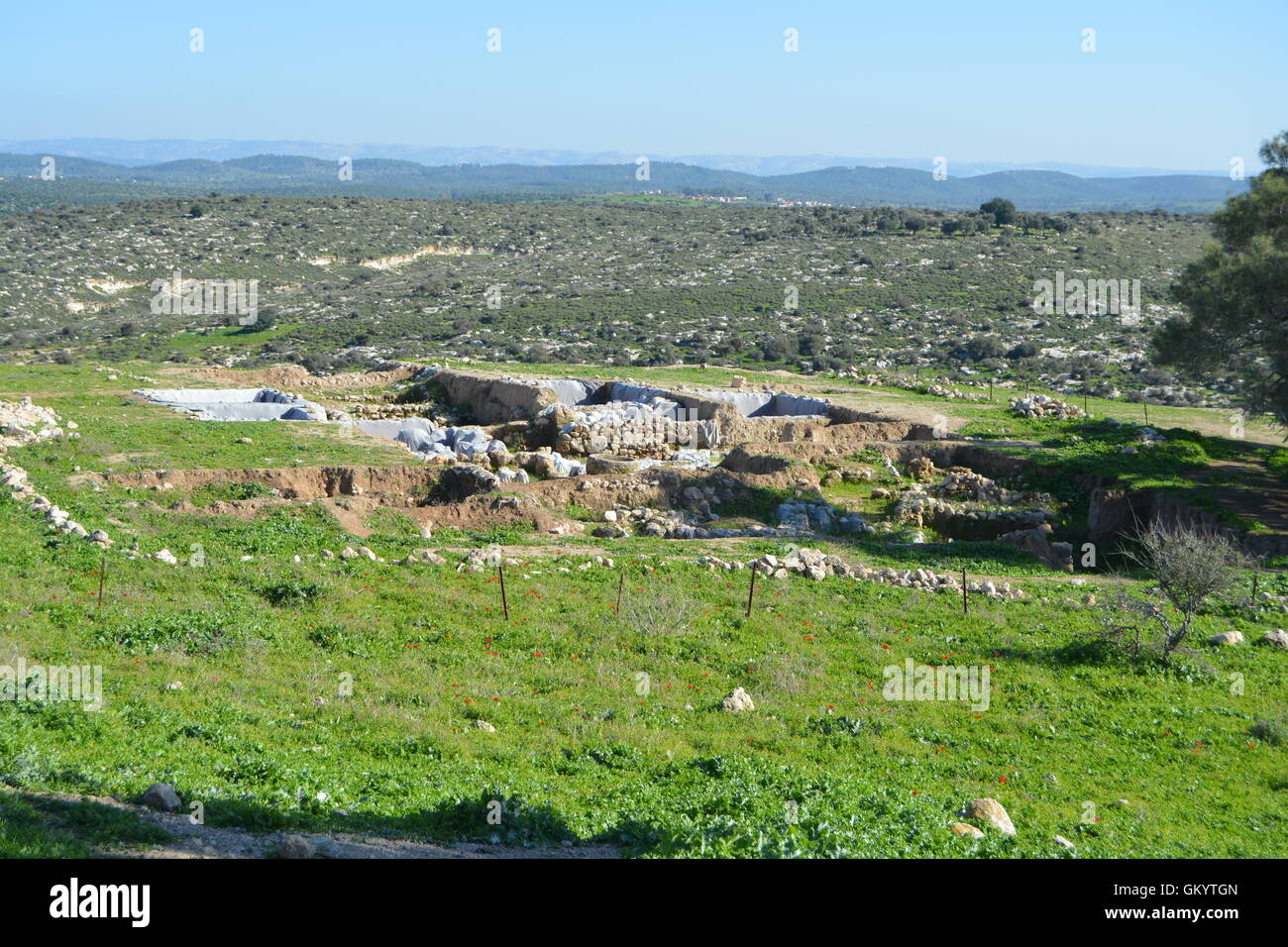 Tel Dan, Israel Stock Photo - Alamy