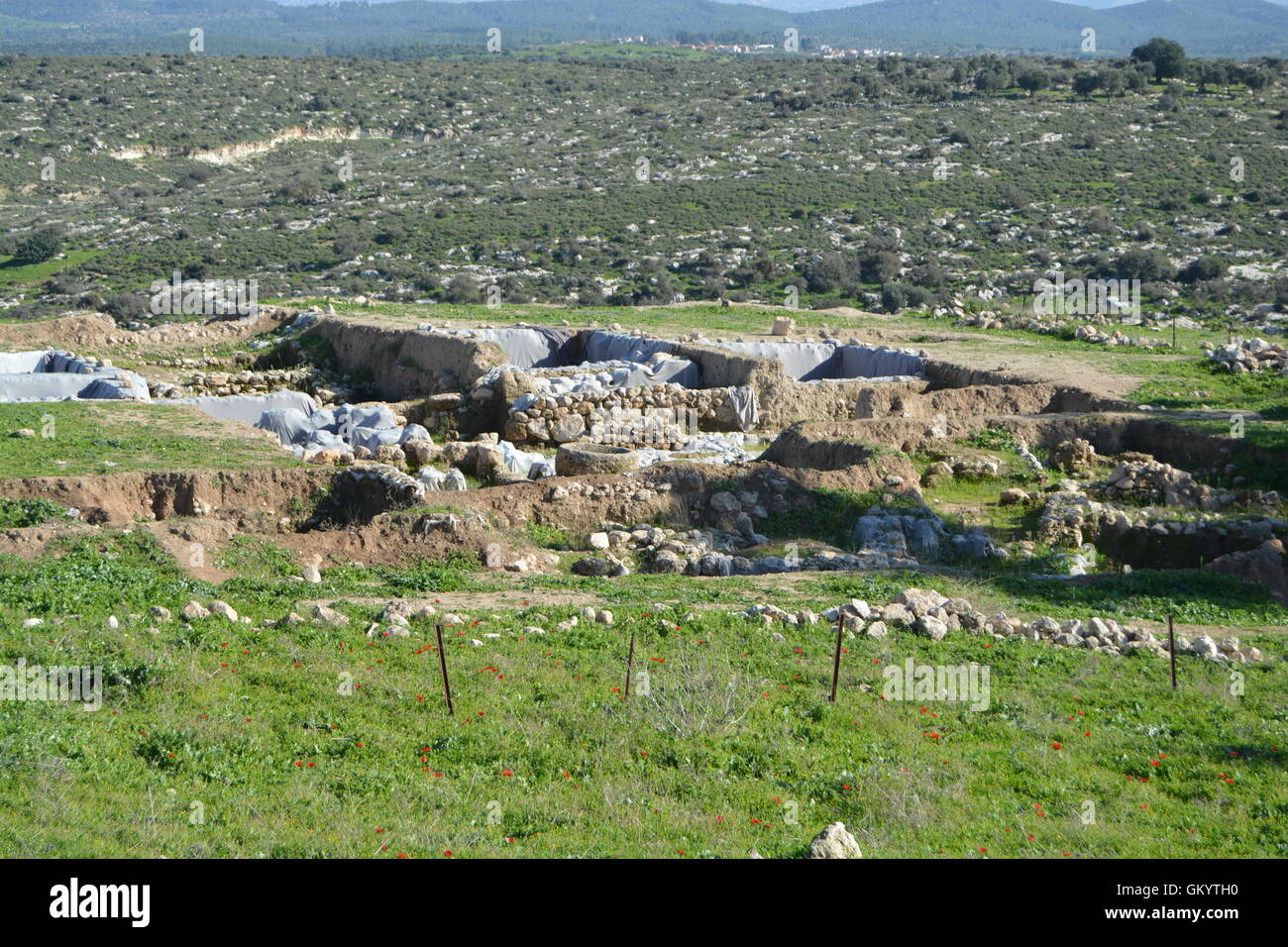 Tel Dan, Israel Stock Photo - Alamy