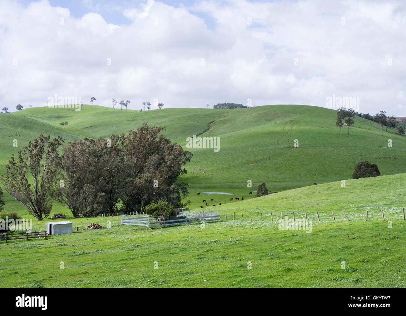 Countryside West Australia Stock Photo - Alamy