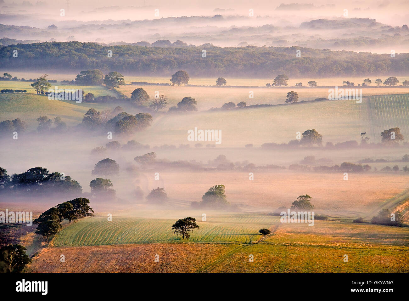 Mist fields in morning hi-res stock photography and images - Alamy
