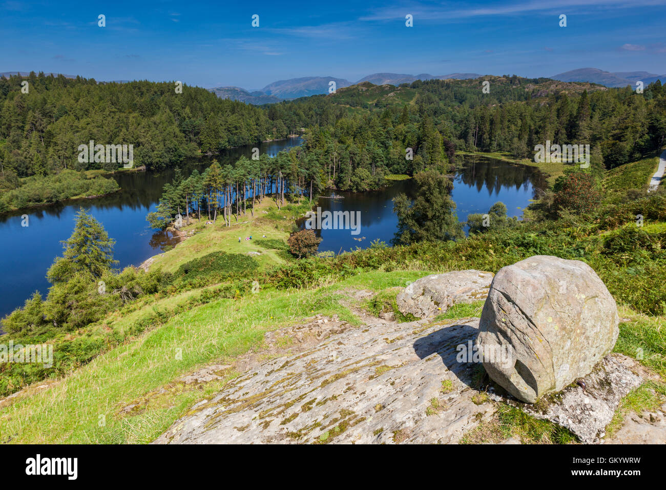 Tarn Hows Near Hawkshead Lake Stock Photos & Tarn Hows Near Hawkshead ...