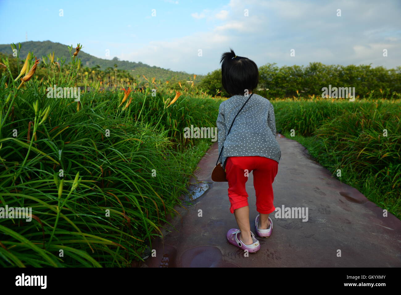 find you direction Stock Photo - Alamy