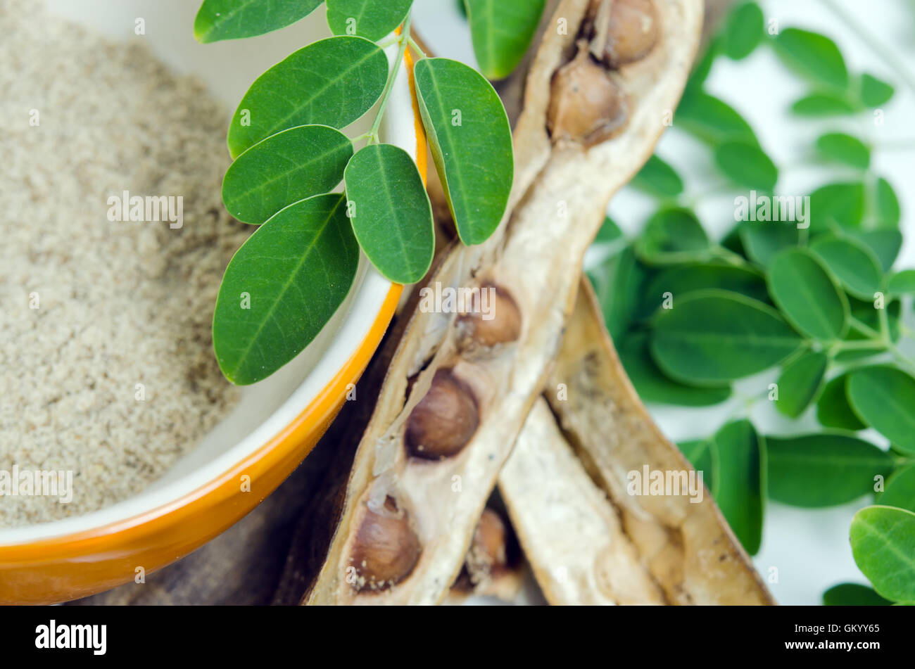 Moringa (Other names are Moringa oleifera Lam., MORINGACEAE, Futaba kom ...