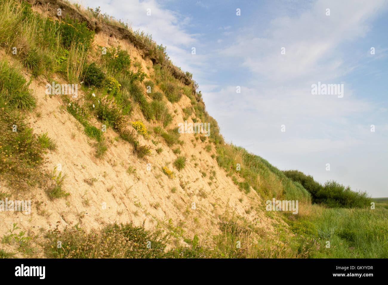 Emmerlev Klev, the coast of Syddanmark, Denmark Stock Photo - Alamy