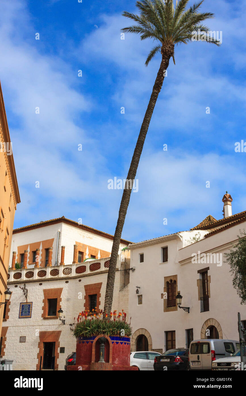 Leaning palm tree hi-res stock photography and images - Alamy