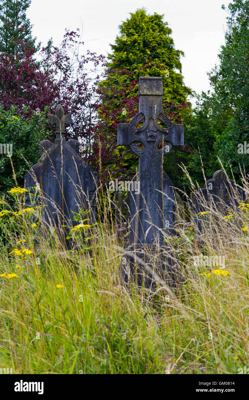 Old gravestones overgrown plants hi-res stock photography and images ...