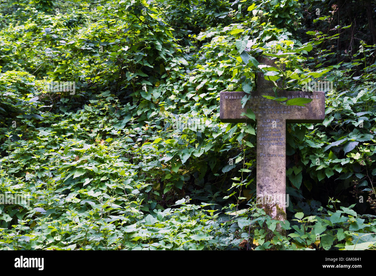 Overgrown cross headstone at Arnos Vale cemetery in Bristol Stock Photo ...