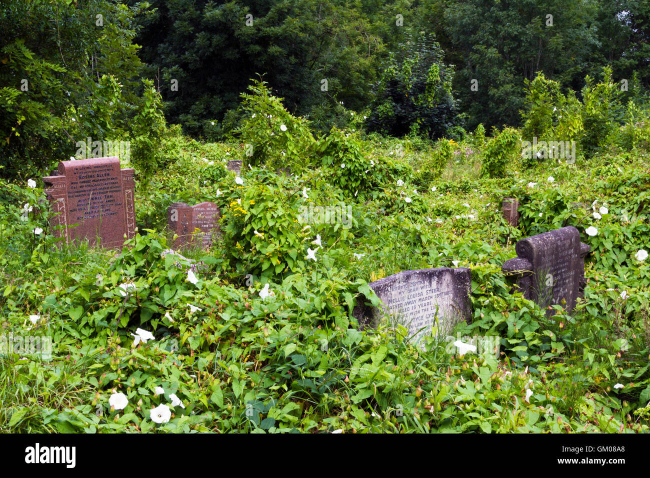 Overgrown tombstones hi-res stock photography and images - Alamy