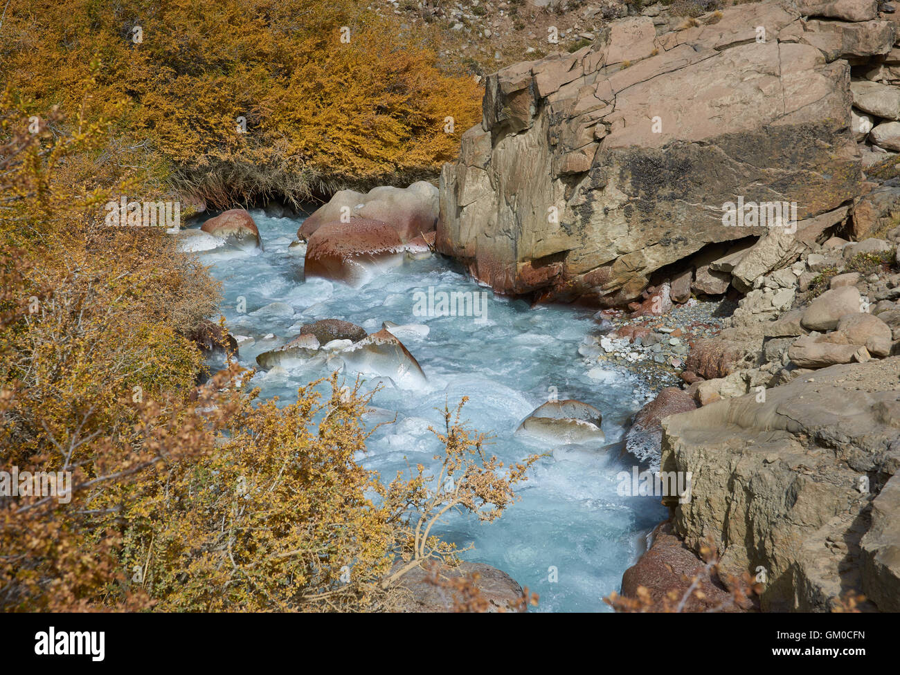 Ice cold river from the Paloma glacier running through autumn coloured ...