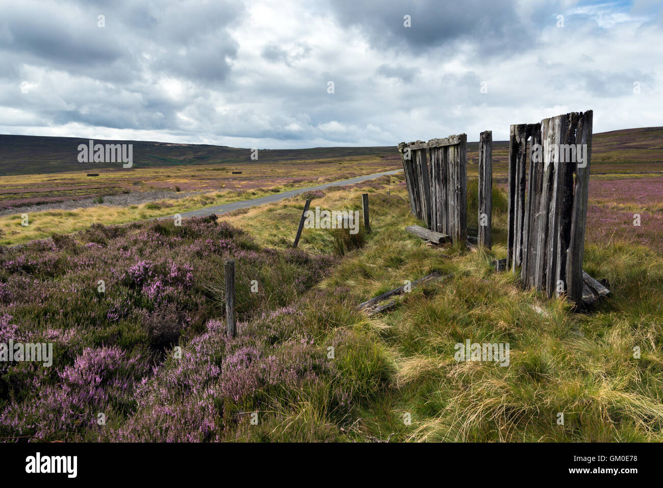 Durham moors hi-res stock photography and images - Alamy
