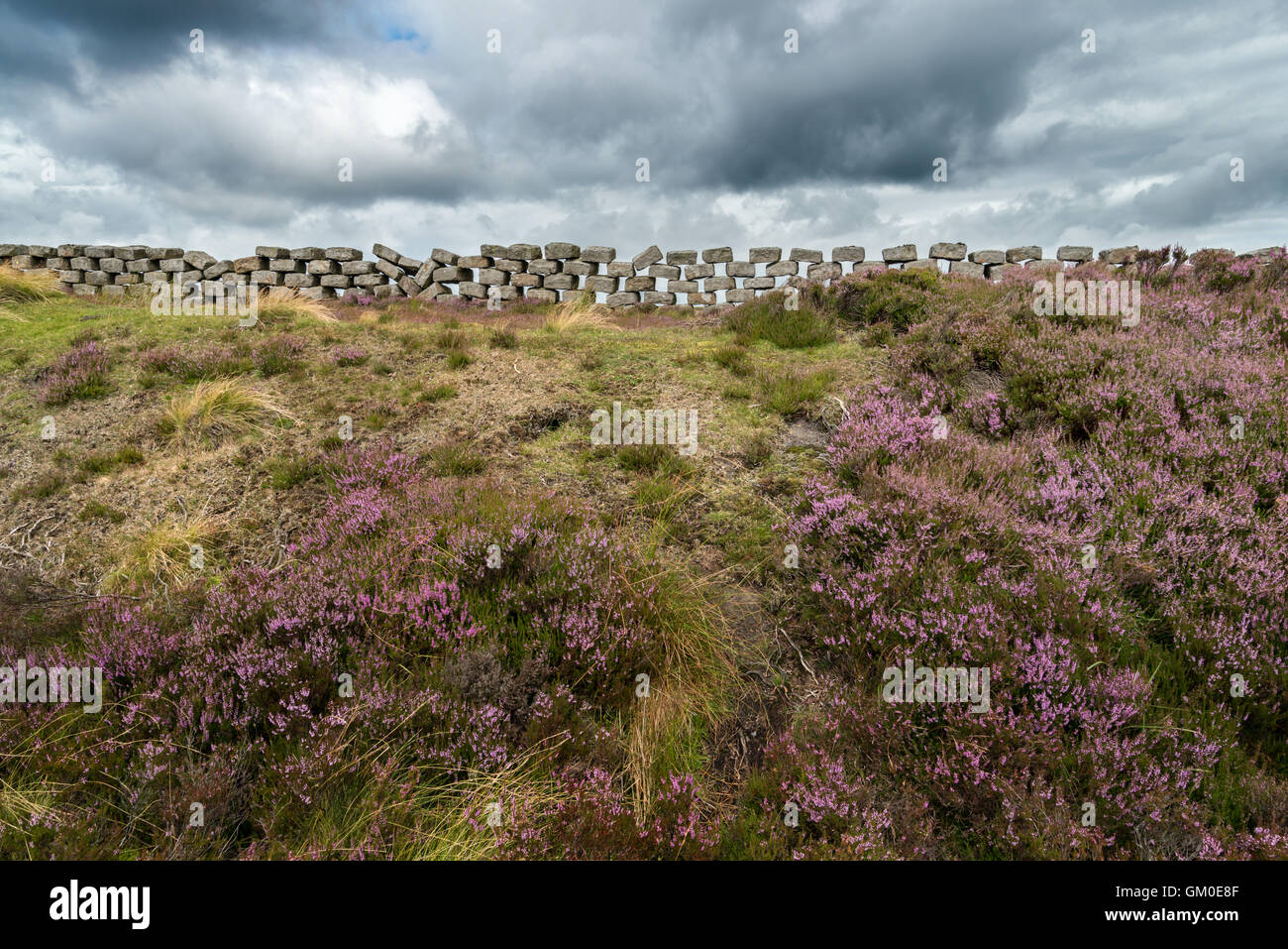 Stone wall on the moorland at Waskerley Way, County Durham Stock Photo ...
