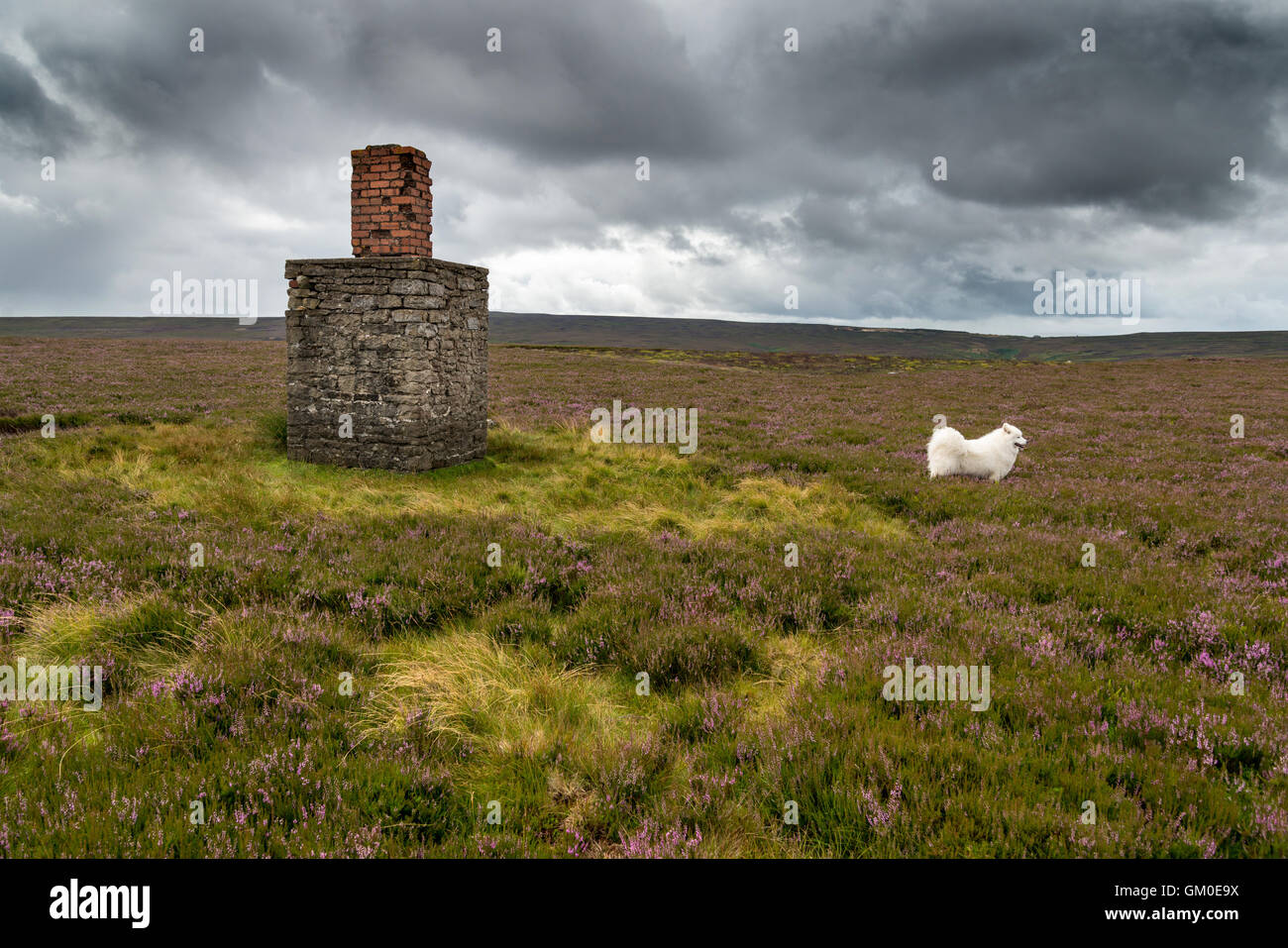 Durham moors hi-res stock photography and images - Alamy