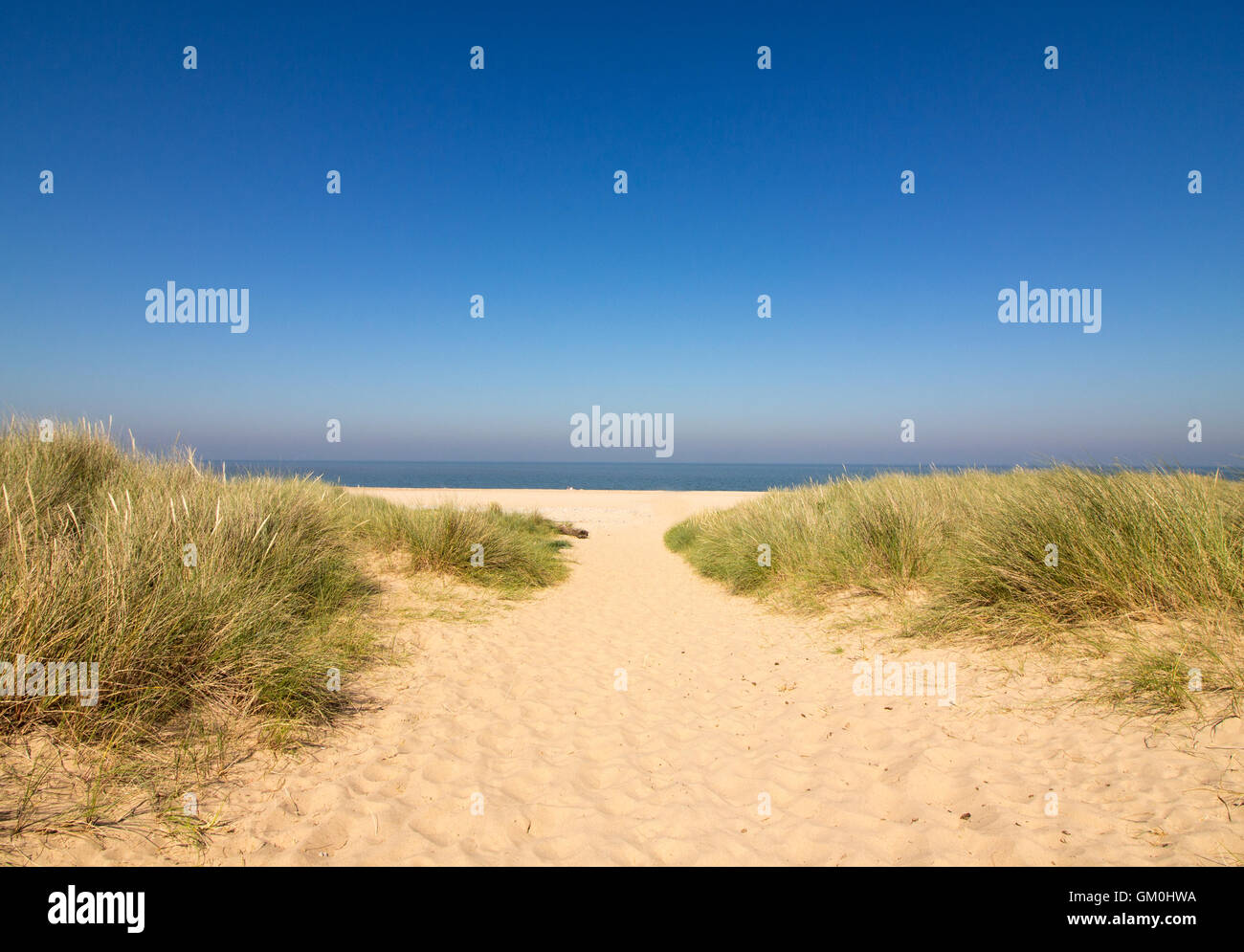 An empty path leading down to the ocean on a beautiful sunny summer's ...