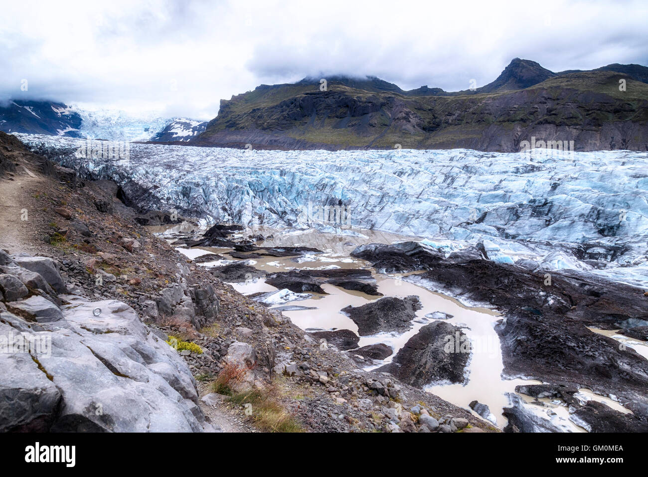 Gletscherzunge hi-res stock photography and images - Alamy