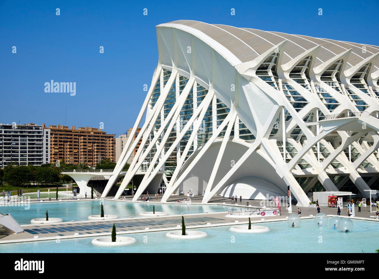 Principe Felipe Science Museum in Valencia Spain Stock Photo - Alamy