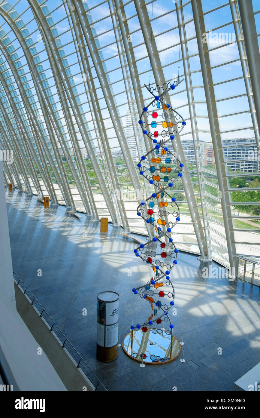 Interior of the glass atrium of the Principe Felipe Science Museum with ...