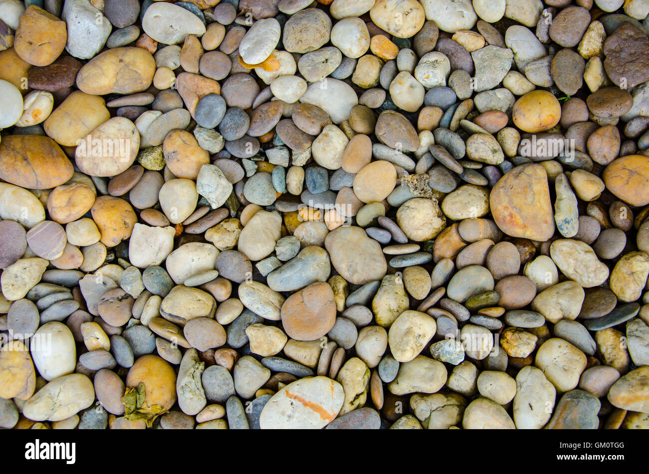 Color pebble stone in background Stock Photo - Alamy