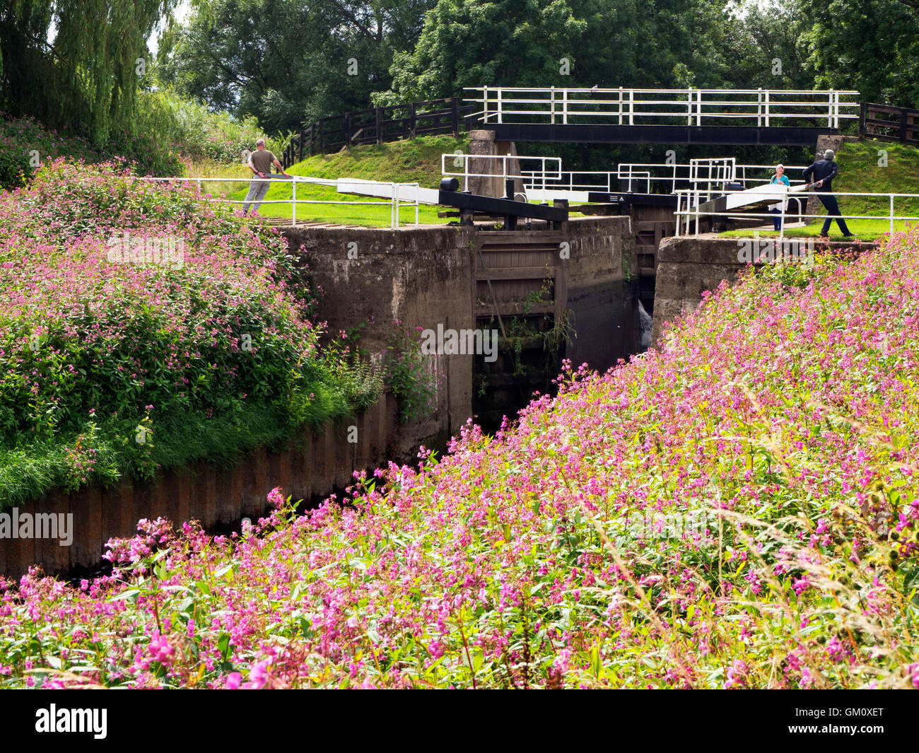Opening the Lower Lock Gates at Milby Lock on the River Ure Navigation ...