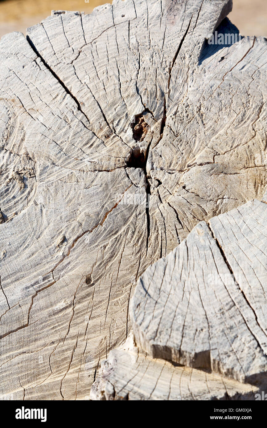abstract texture of a aged cracked tree trunk and background Stock ...