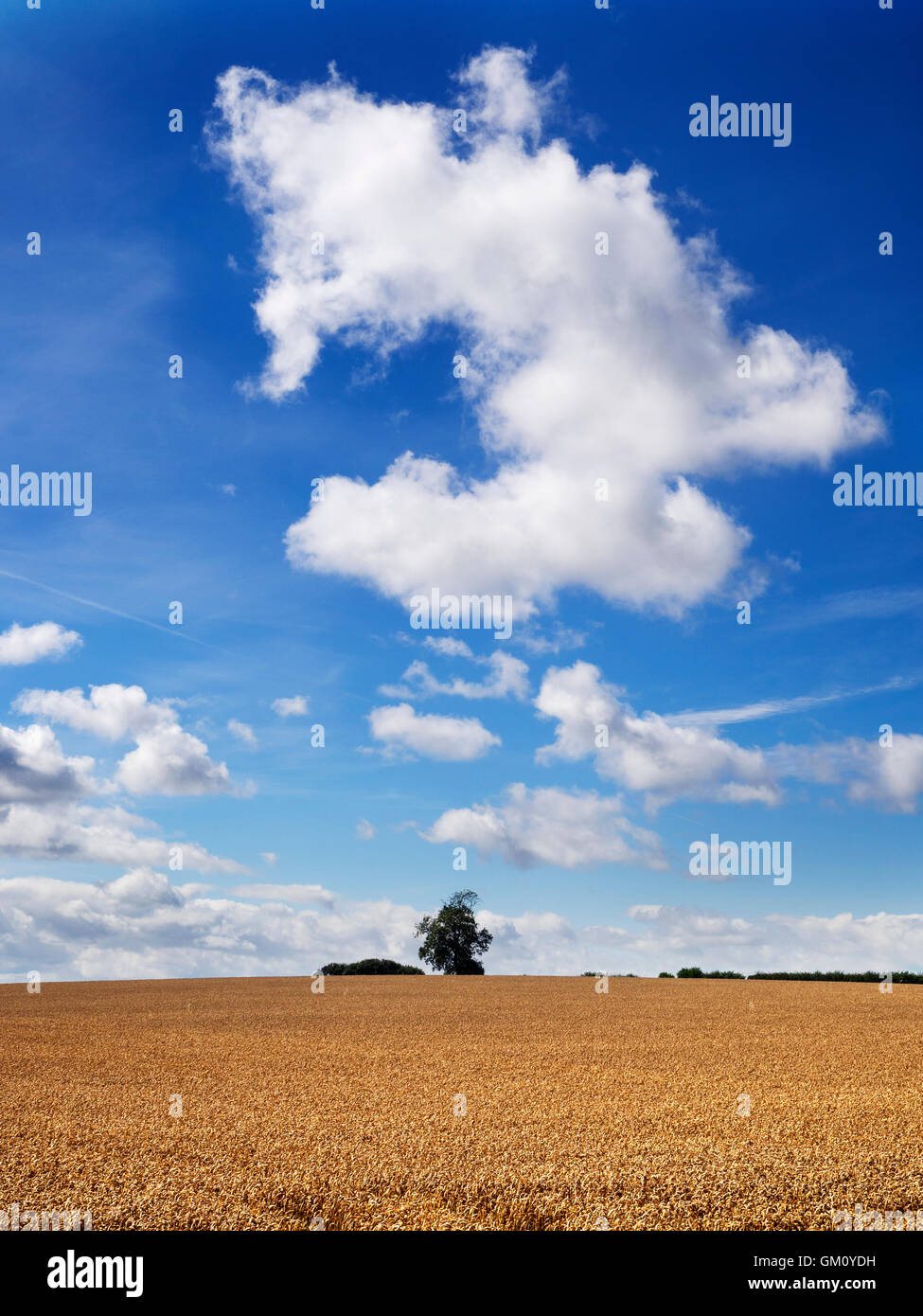 Crop Formation Stock Photos & Crop Formation Stock Images - Alamy