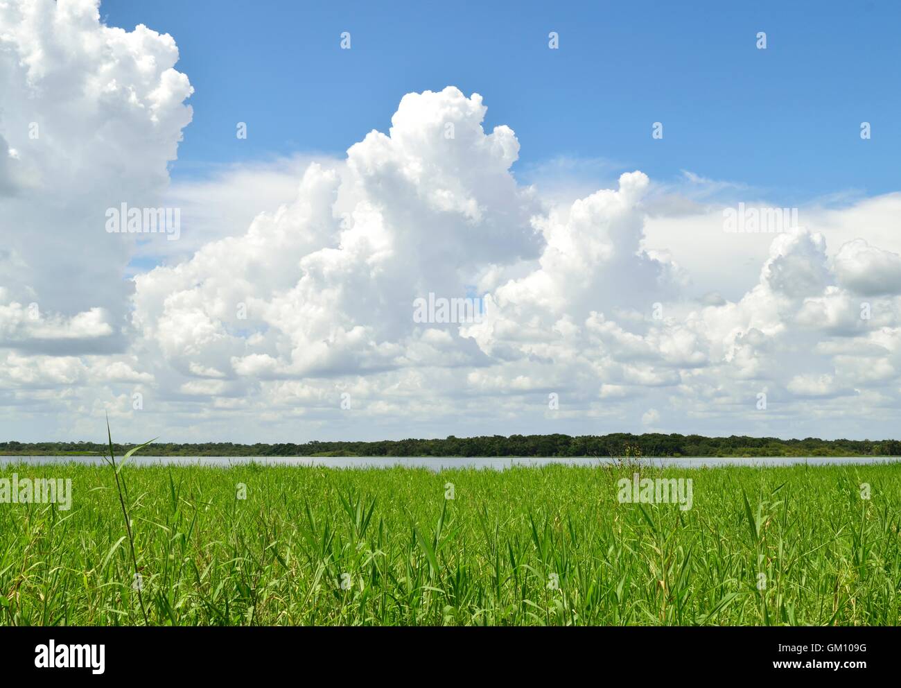Thick clouds beautiful sky clouds hi-res stock photography and images ...