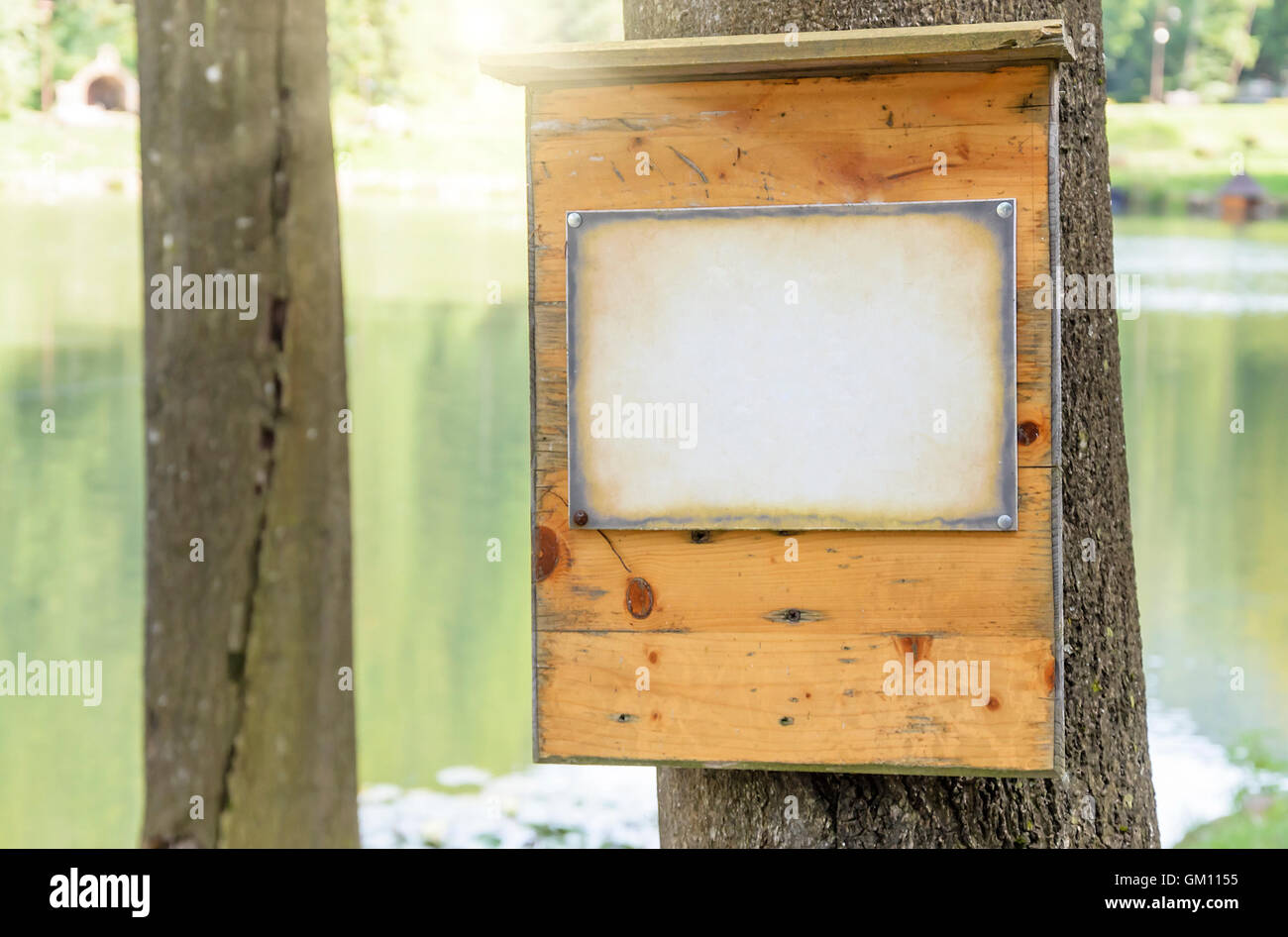 Beautiful wooden sign on the tree. Close-up Stock Photo - Alamy