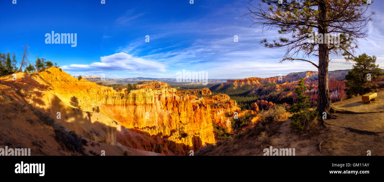 Beautiful fall colors of Bryce Canyon National Park, featuring the ...