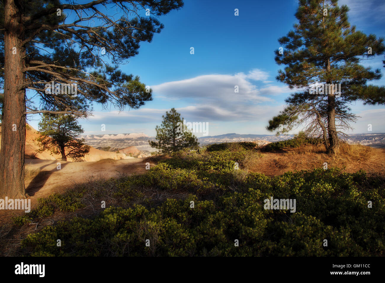 Beautiful fall colors of Bryce Canyon National Park, featuring the ...