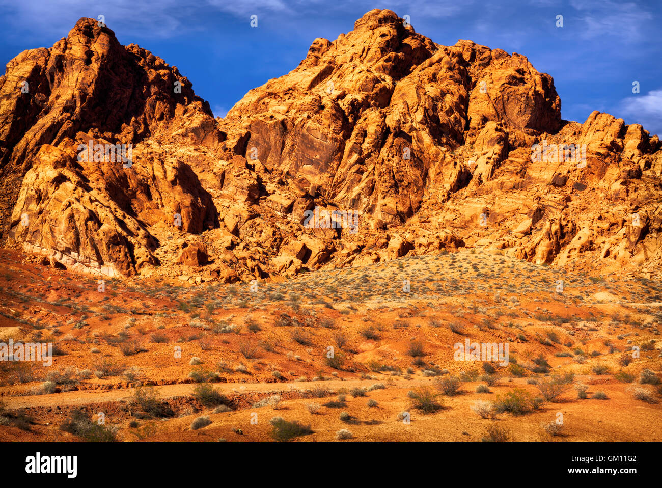 Tumbleweed desert hi-res stock photography and images - Alamy