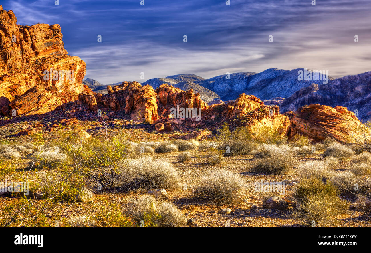 Barren Desert With Tumbleweed