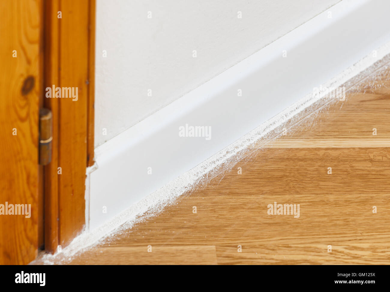 Insect Powder High Resolution Stock Photography and Images - Alamy