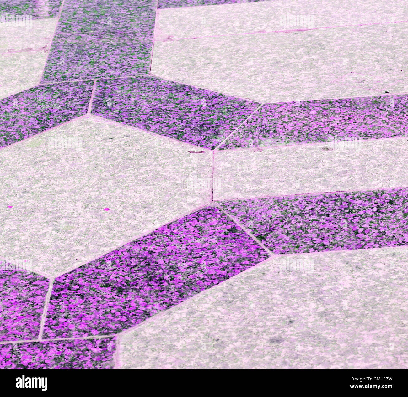 in oman abstract pavement in the old steet and colors Stock Photo - Alamy