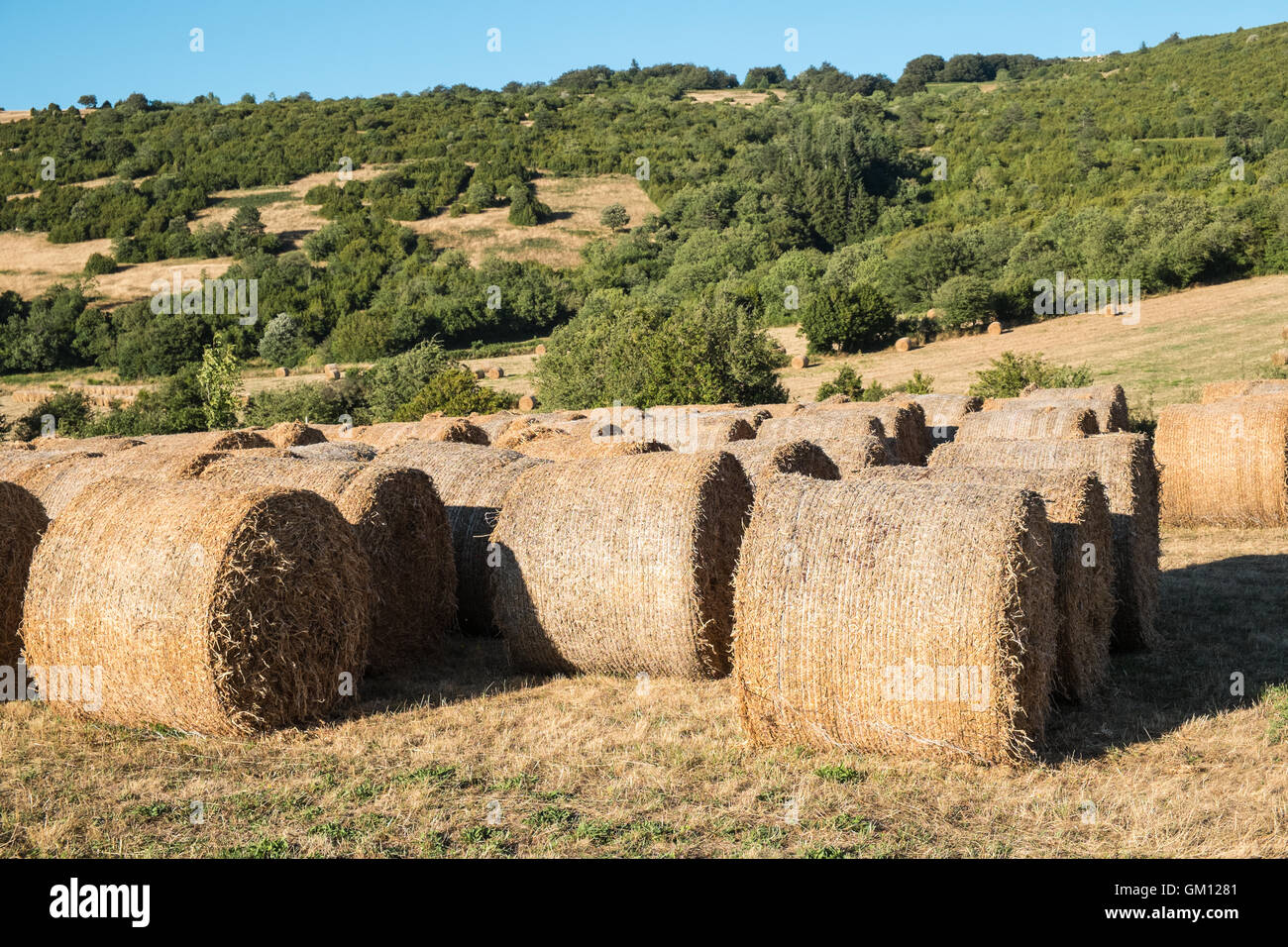 Rural scene with round straw,hay bales in countryside near village of ...