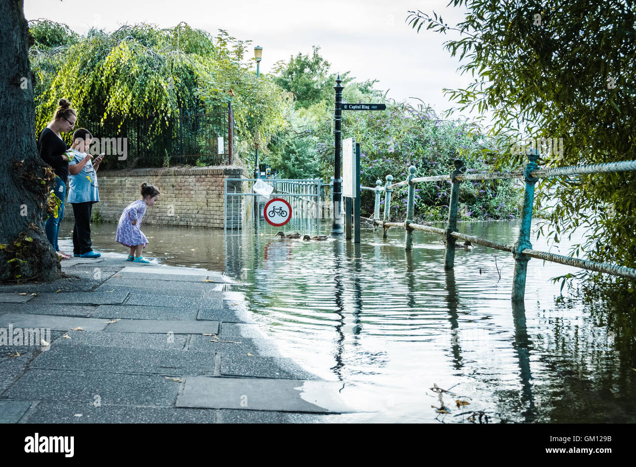 Children feeding the ducks at high water and flooding on the River ...