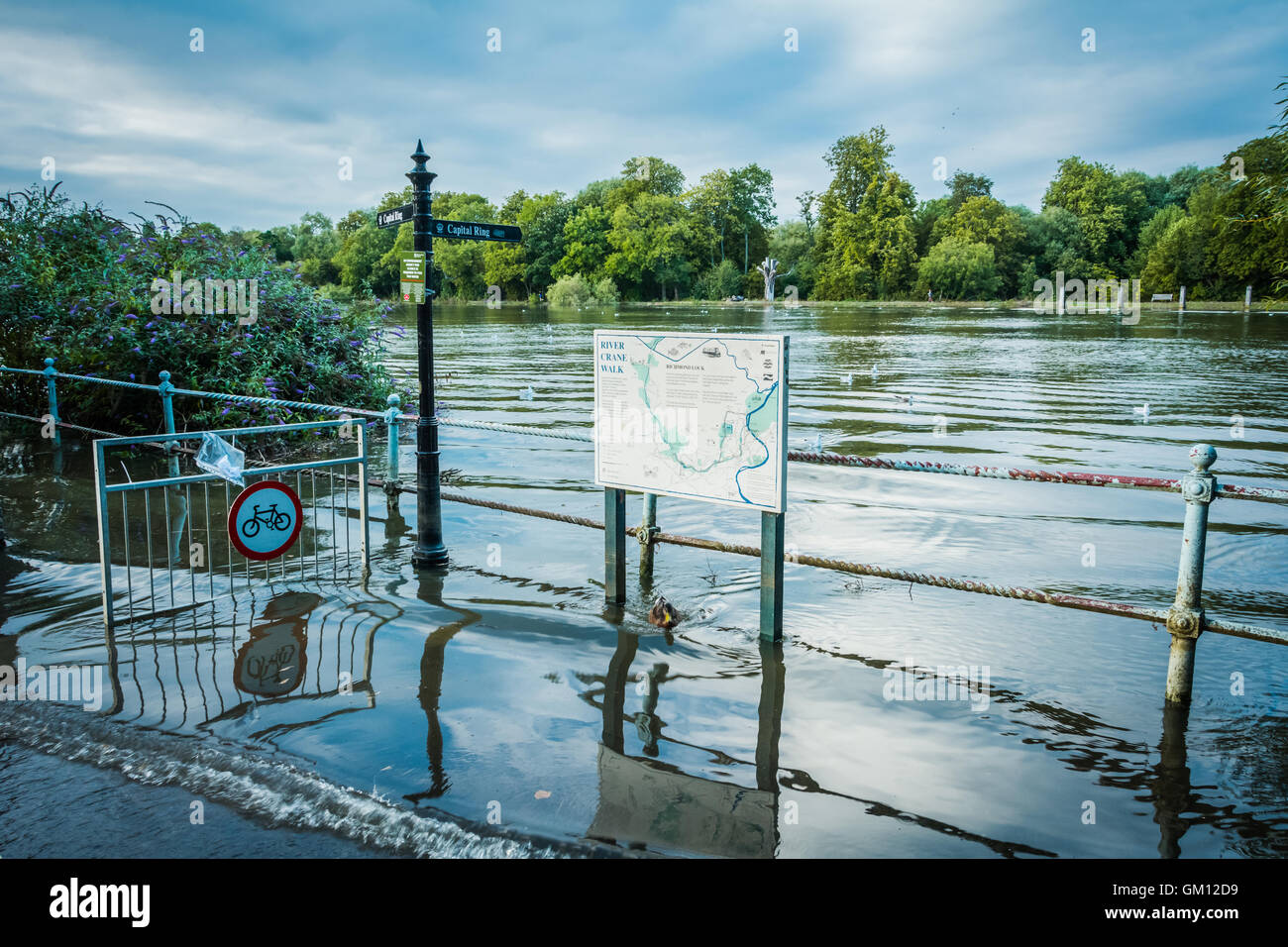 Twickenham thames flooding hi-res stock photography and images - Alamy