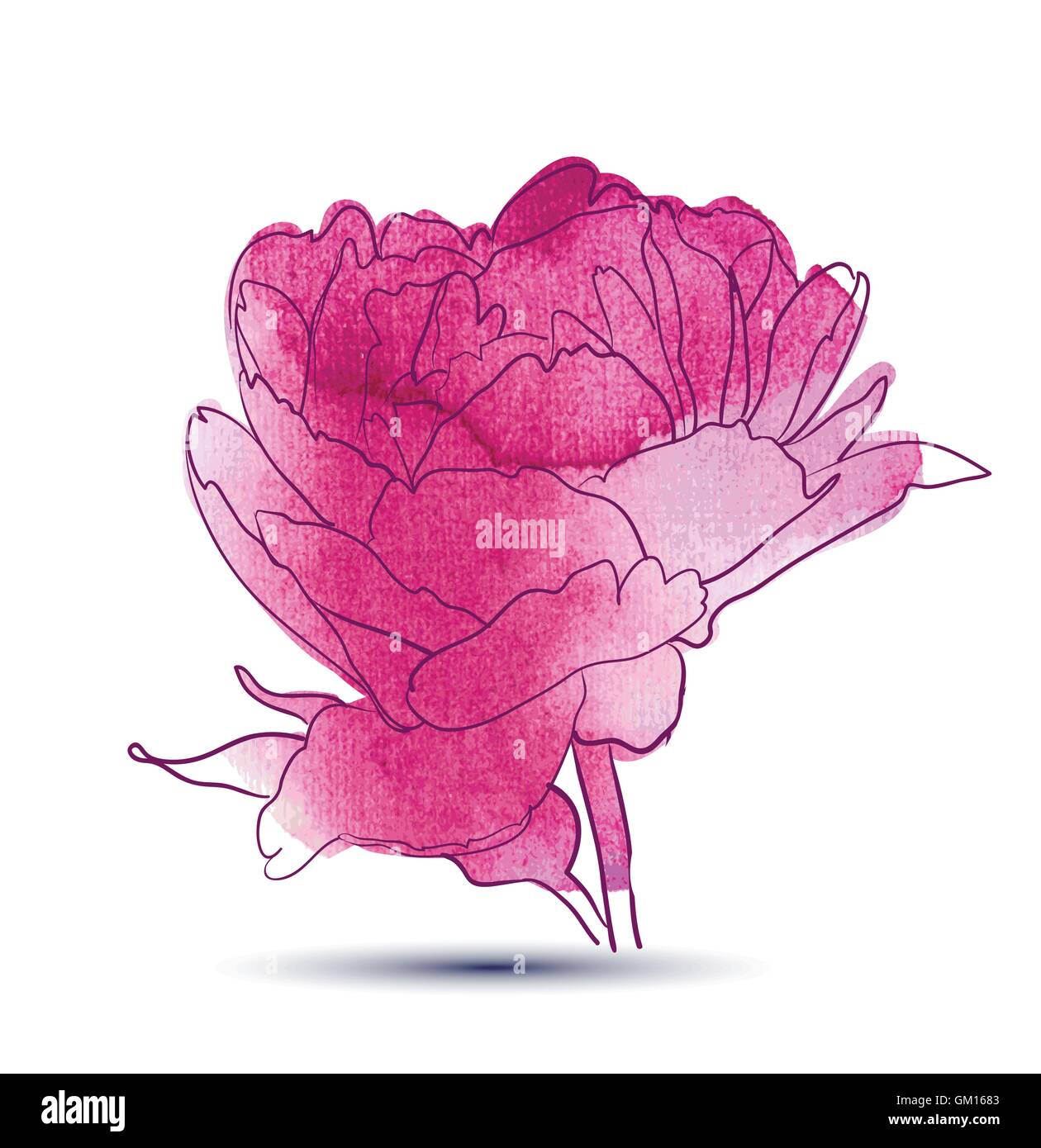 Stylized peony Cut Out Stock Images & Pictures - Alamy