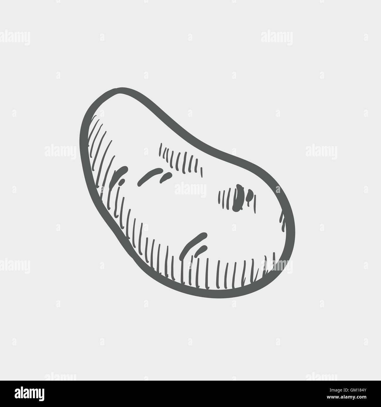 Potato plant drawing Black and White Stock Photos & Images - Alamy