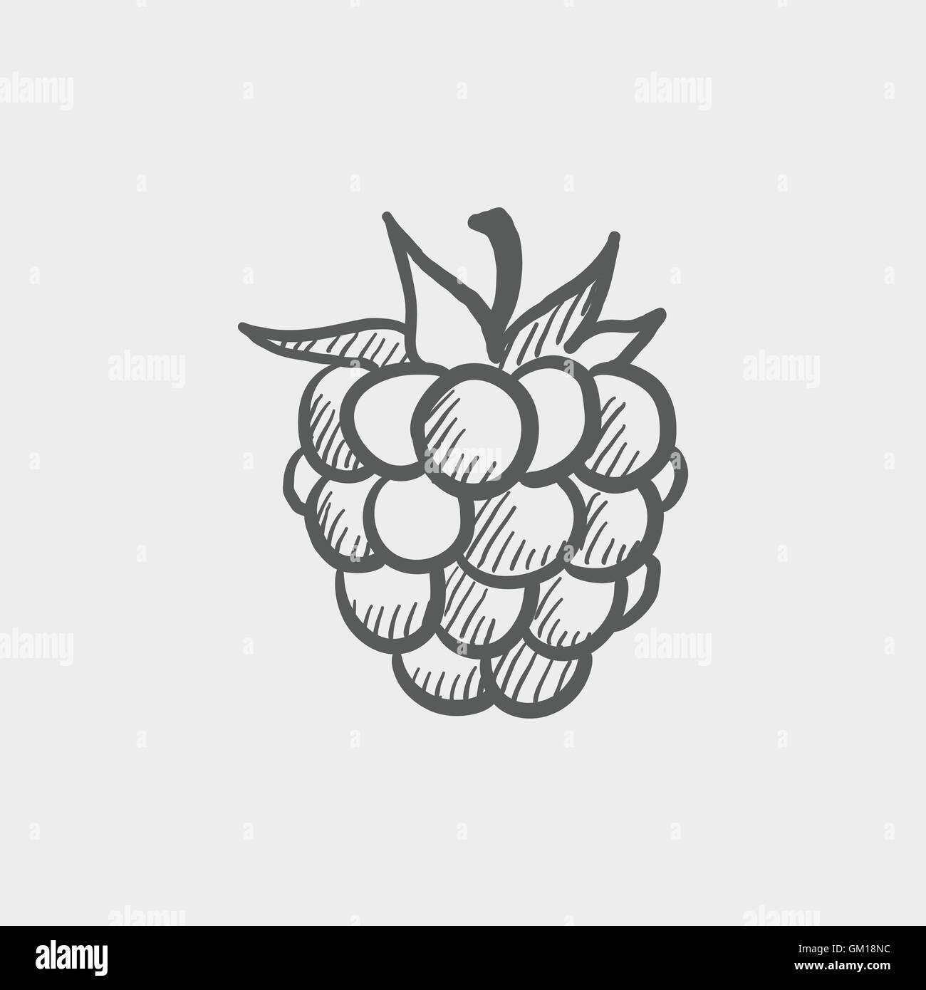 Lanzones Fruit Drawing How To Draw Longan Fruits | Drawing And