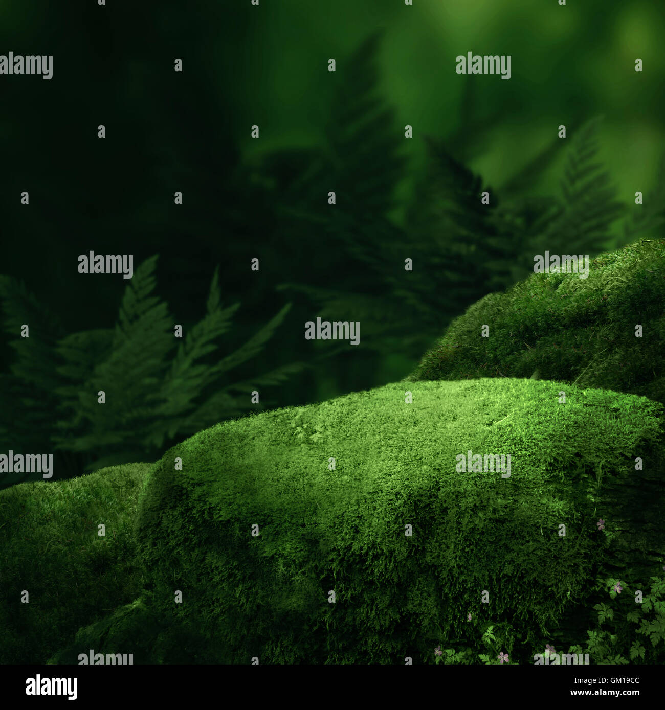 Dark magic forest with big moss stones Stock Photo - Alamy
