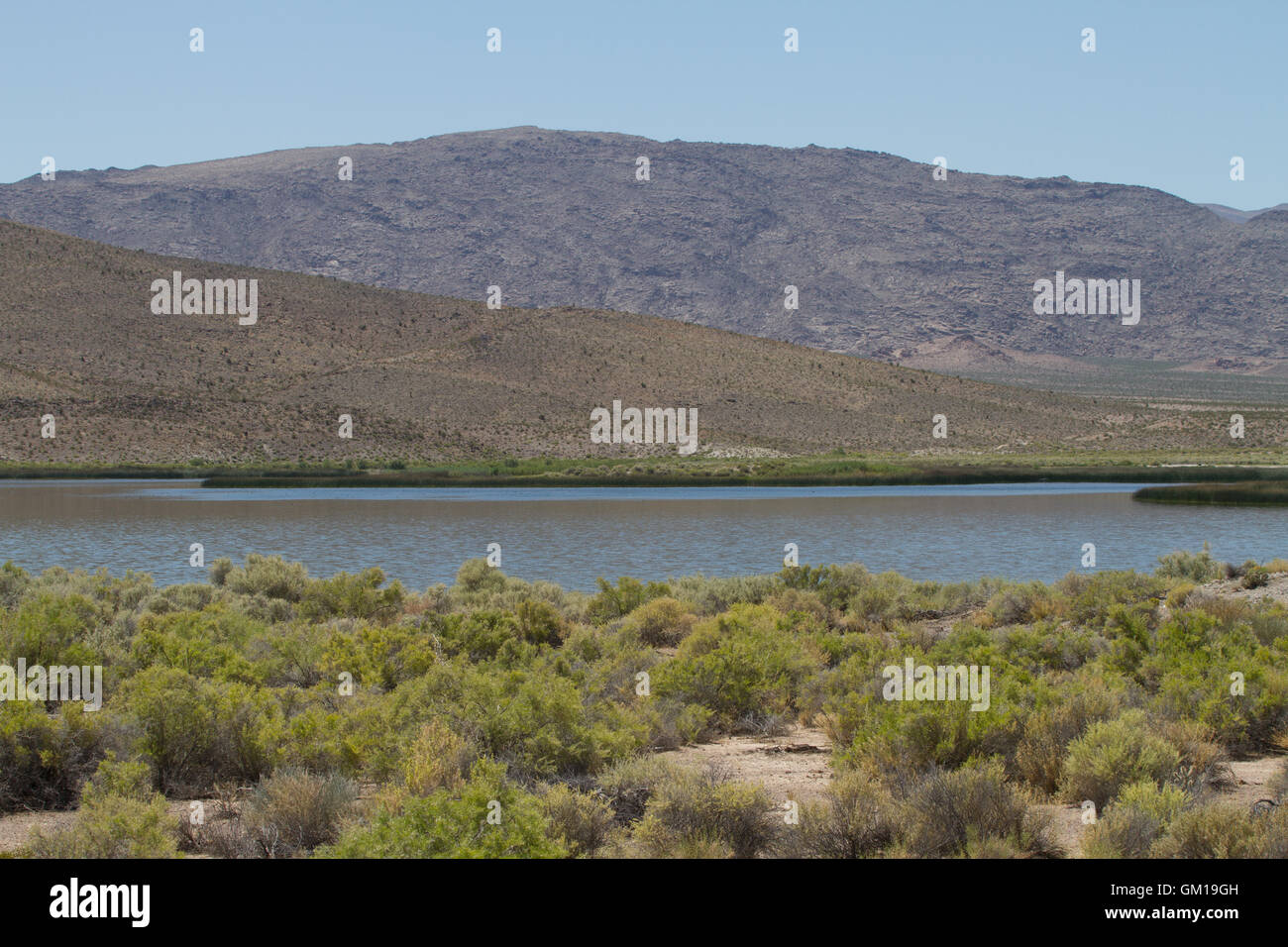 Scrubland and lake usa hi-res stock photography and images - Alamy
