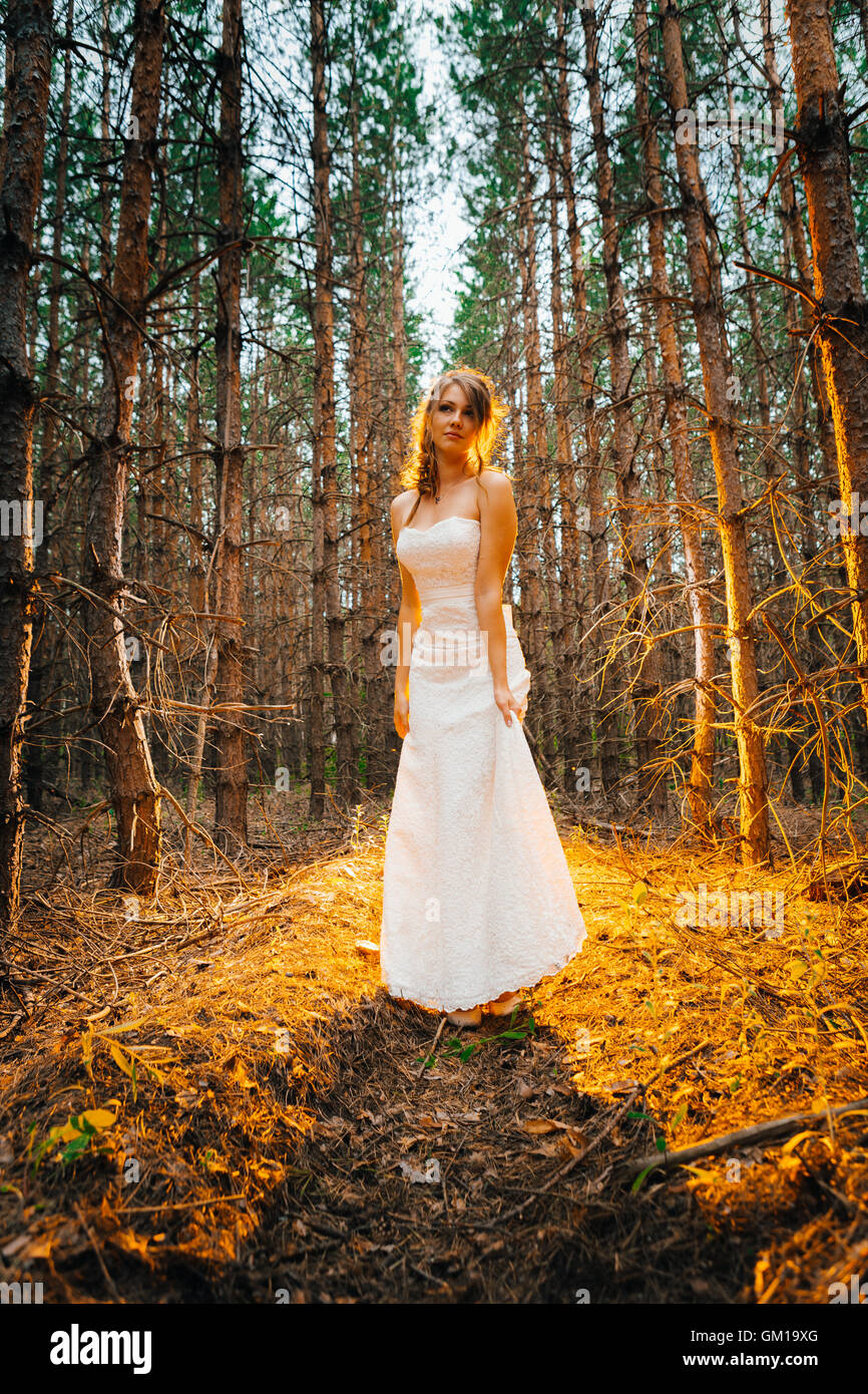 bride on a background of leaves and wood backlight Stock Photo - Alamy