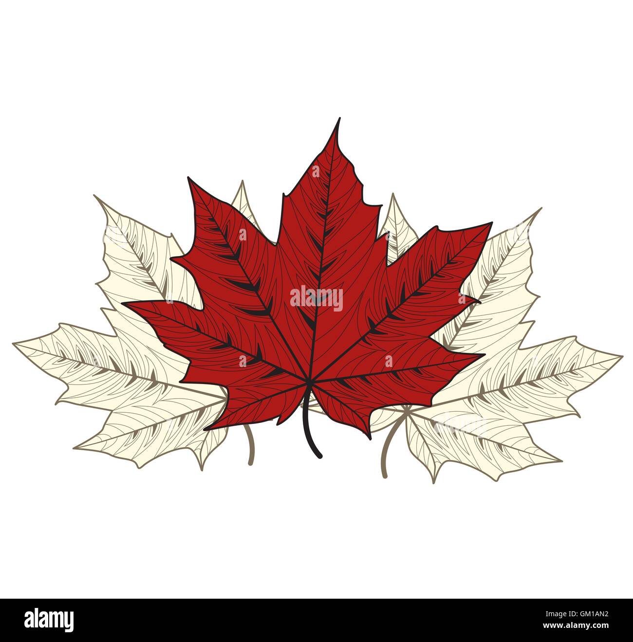 Red maple leaves detail Stock Vector Images - Alamy