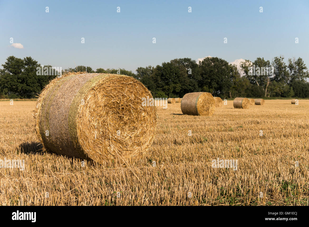 Stacks of hay bales hi-res stock photography and images - Alamy