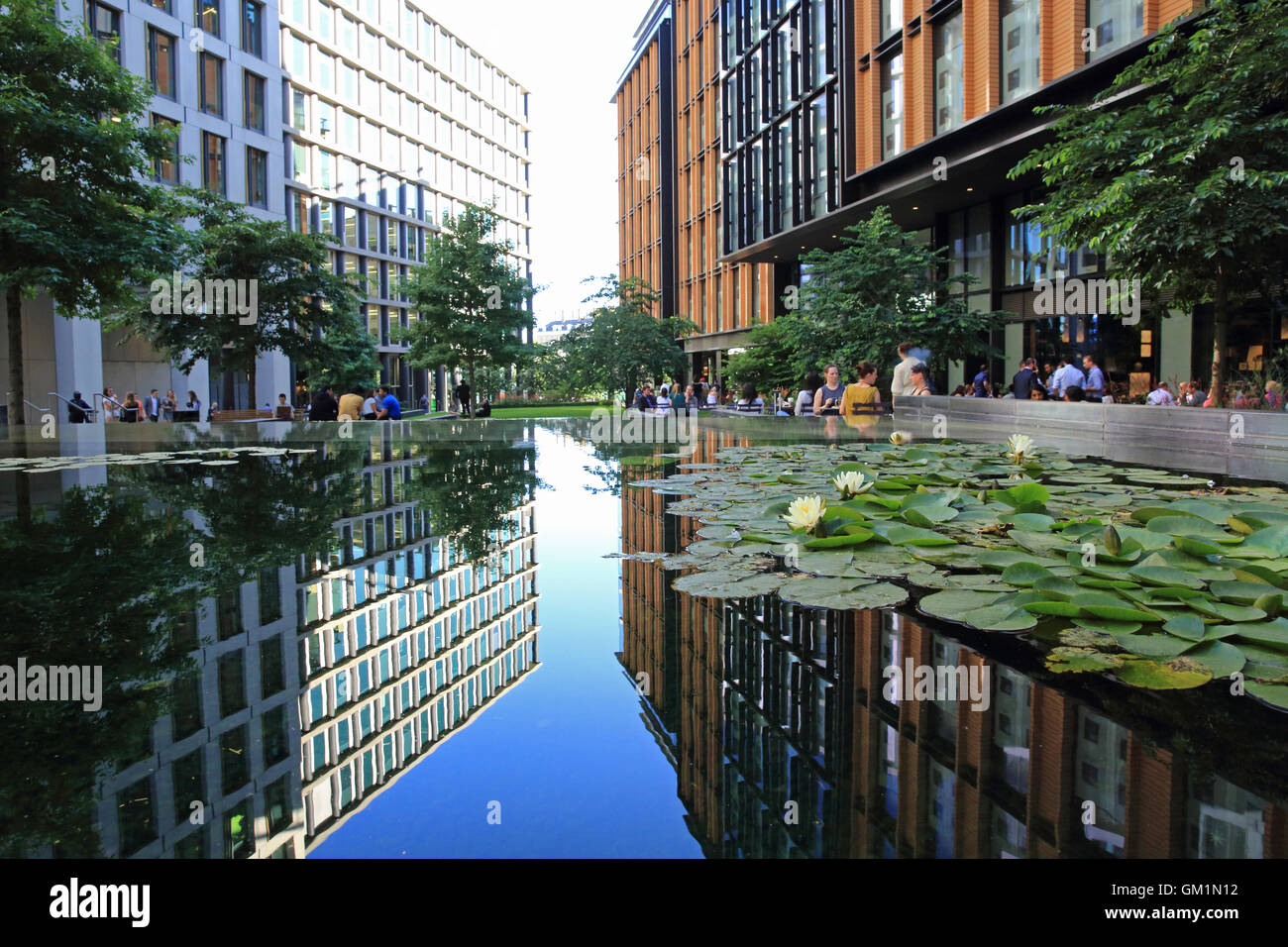 Water lilies in Pancras Square, amidst the new office buildings, behind ...