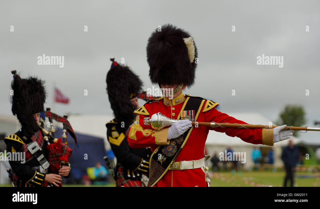 Royal scots dragoon guards army hi-res stock photography and images - Alamy