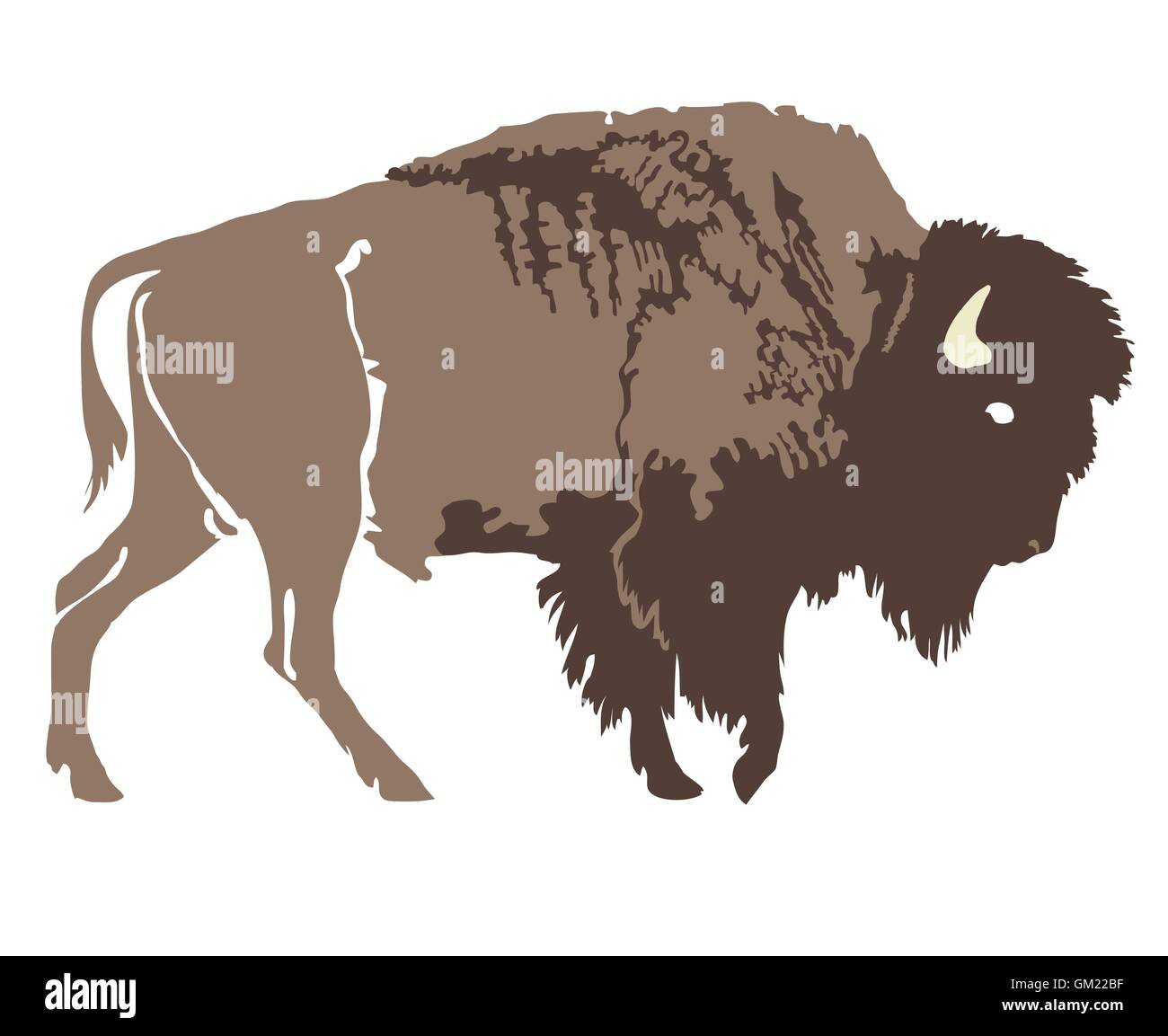 Buffalo. Hand-drawn illustration. Design for logo, t shirt, bag etc ...